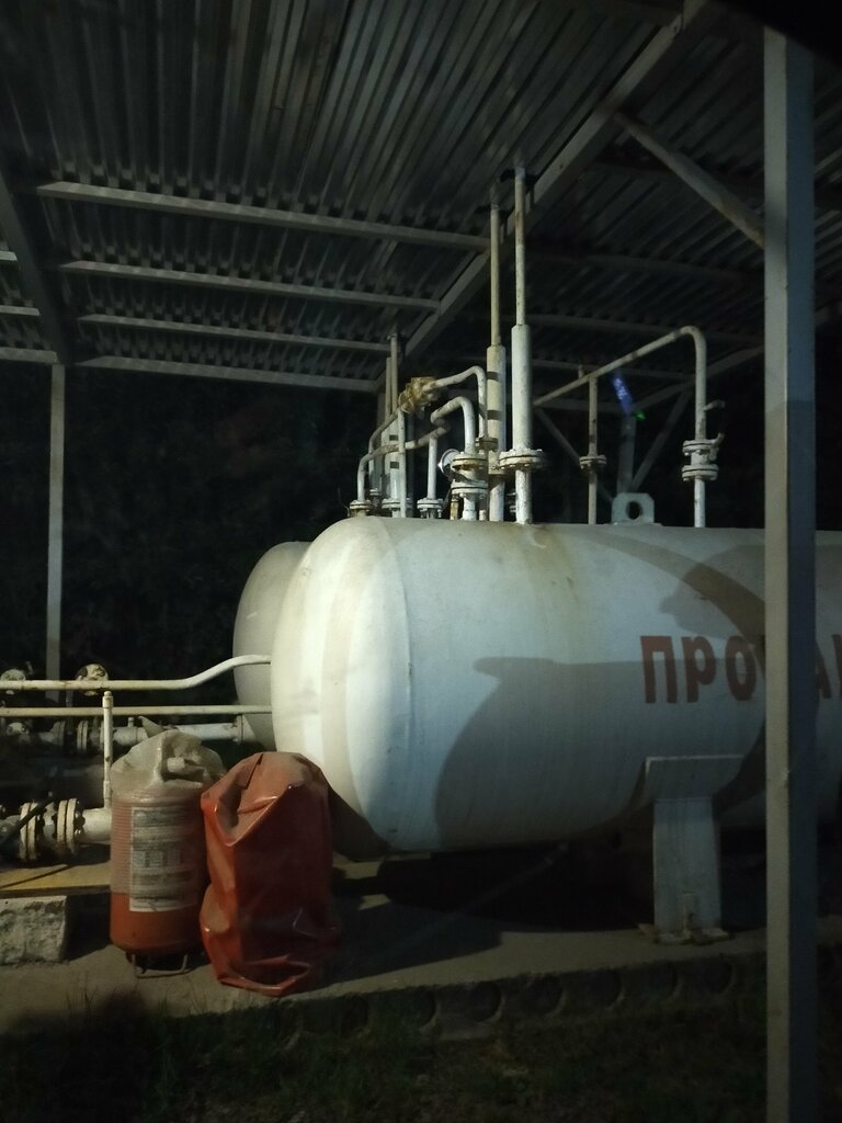 Otogaz dolum istasyonu Gas Station SZTK, Novgorodskaya oblastı, foto