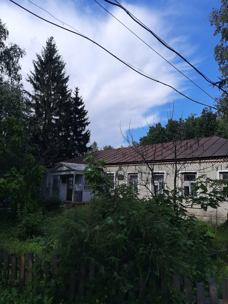 Orman işleri, orman koruma Leskhoz Ogu, Saratovskaya oblastı, foto