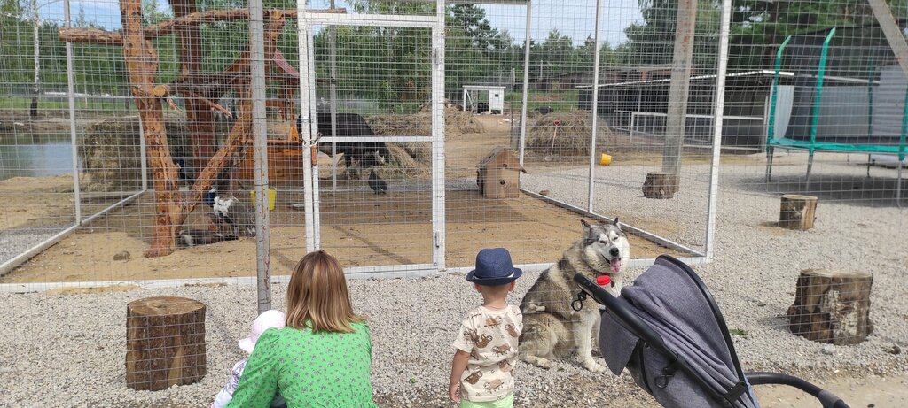 Çiftlik tatili Агроусадьба КФХ Попова шляпа, Belooziorski, foto