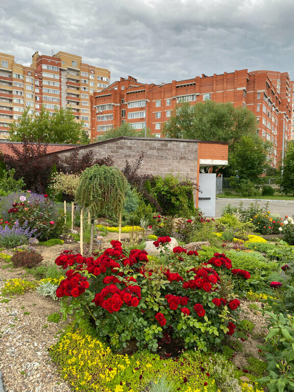 Bina, site yönetimi ТСН Любимый дом, Balaşiha, foto