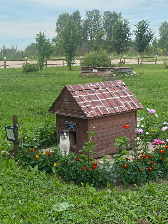 Otel Постоялый двор Юматова, Pskovskaya oblastı, foto