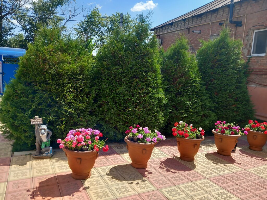 Otel Гостевой дом в Соль-Илецке, Sol‑İletsk, foto