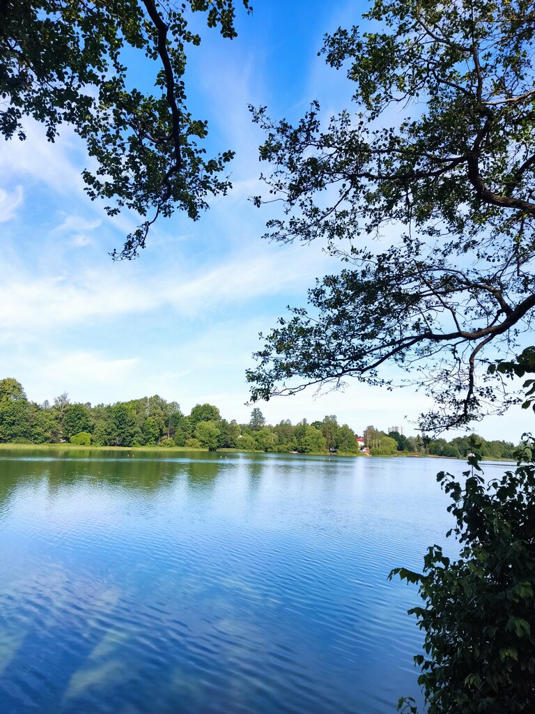 Turistik yerler Руины ЖБОТа, Saint‑Petersburg, foto