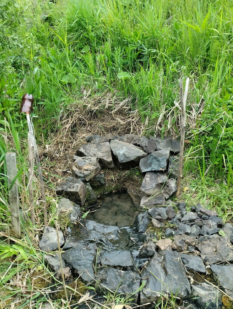 Pınar, çay Spring, stream, Brianskaya oblastı, foto