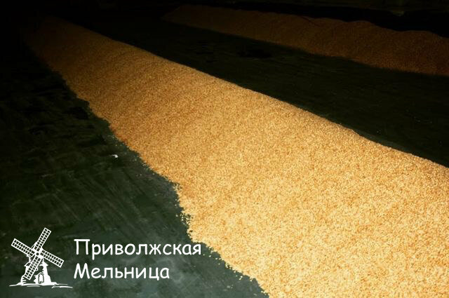 Un ve tahıllar Privoljslaya melnica, Nijegorodskaya oblastı, foto