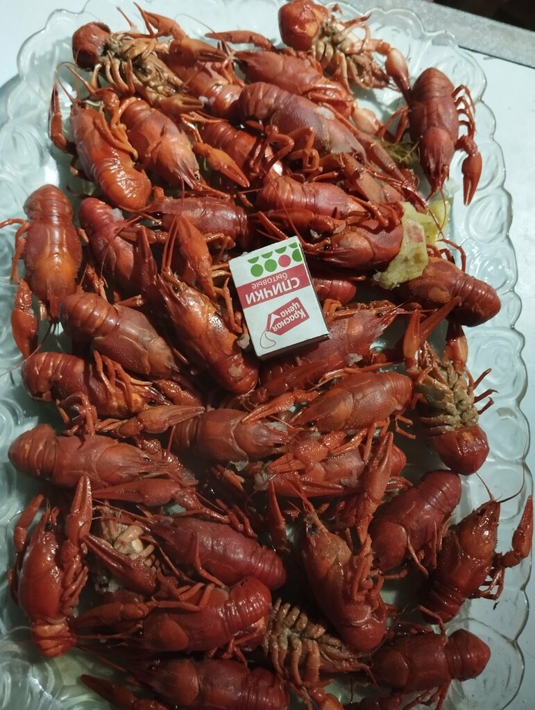 Balık ve deniz ürünleri Раки, Samara, foto