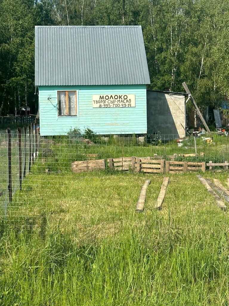 Tarım firmaları Ешь натуральное, Moskova ve Moskovskaya oblastı, foto