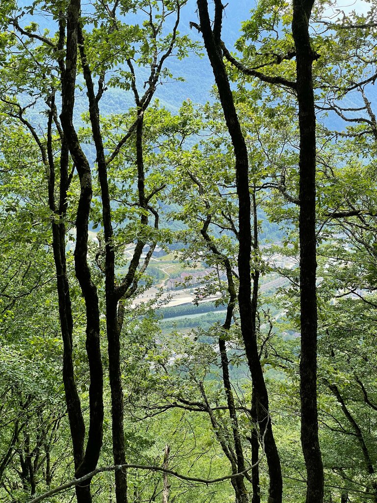 Dağ zirvesi Высота 835 метров, Soçi, foto