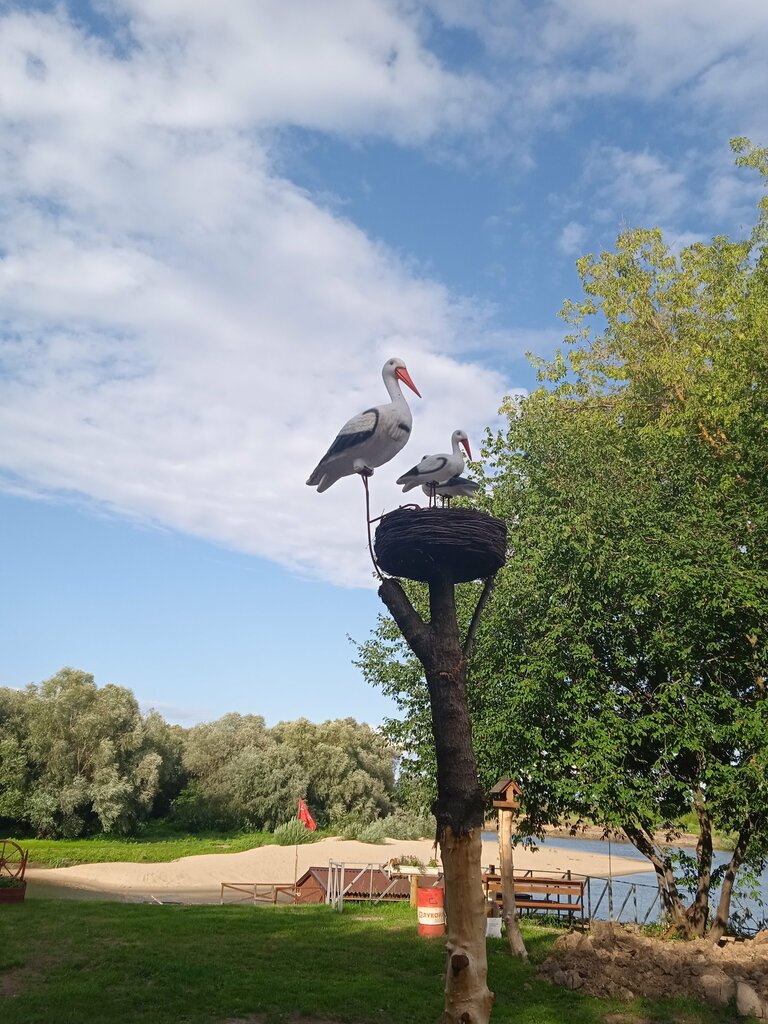 Hamamlar Баня на плоту, Brianskaya oblastı, foto
