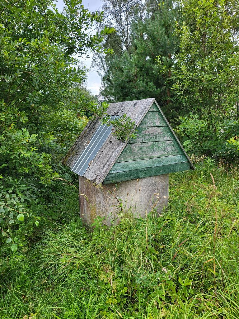 Kuyu Well, Saint‑Petersburg ve Leningradskaya oblastı, foto