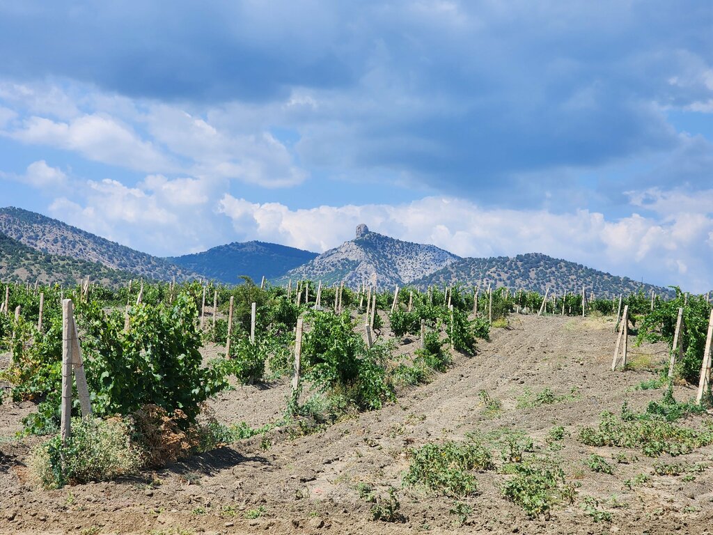 Dağ zirvesi Гора Баш Пармак 518 метров, Kırım Cumhuriyeti, foto