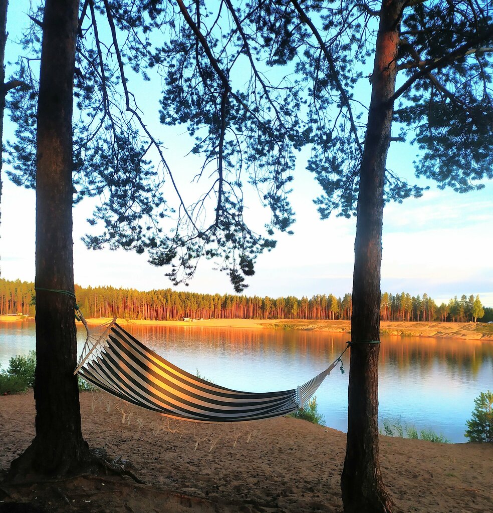 Piknik alanı Место для пикника, Saint‑Petersburg ve Leningradskaya oblastı, foto