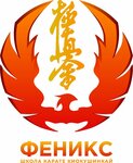 Fenix (Chistopolskaya Street No:19А), spor kulüpleri  Kazan'dan