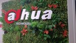 Dahua Technology (Patshaıym Tájibaeva kóshesi No:184), güvenlik ve alarm sistemleri  Almatı'dan