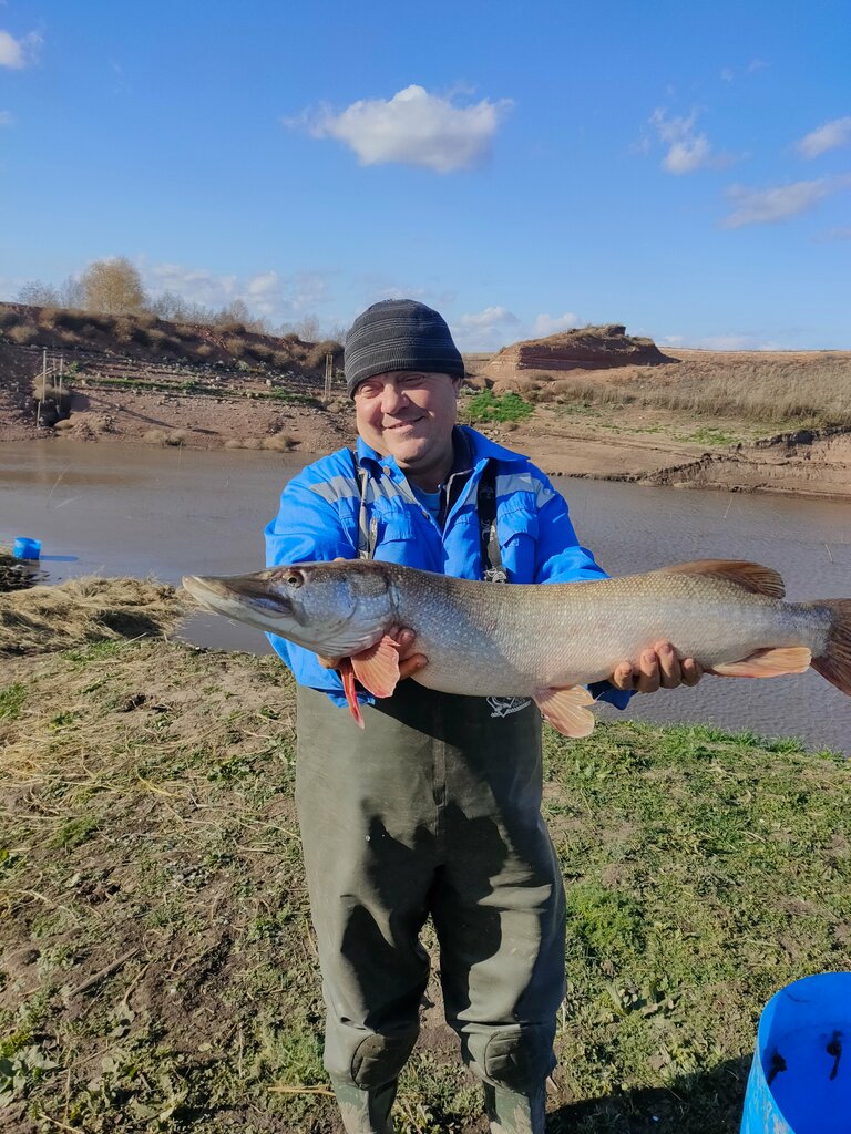 Balık çiftçiliği ve toptancıları Ант-фиш, Samarskaya oblastı, foto