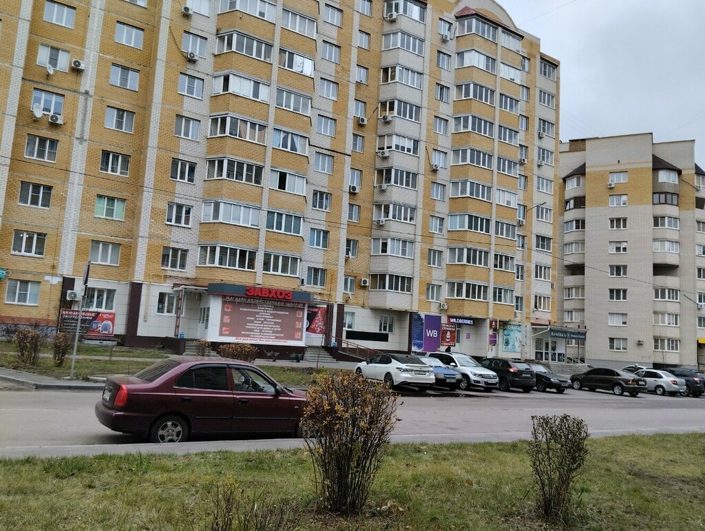 Yapı mağazası Zavhoz, Tambov, foto