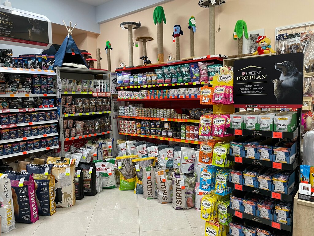 Petshop Верные друзья, Kaliningrad, foto