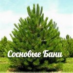 Сосновые бани (Tayginskaya ulitsa No:15), hamam ve sauna inşaatı  Novosibirsk'ten
