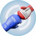 Бокс Ниту Мисис (Leninsky Avenue No:6с7), spor kulüpleri  Moskova'dan