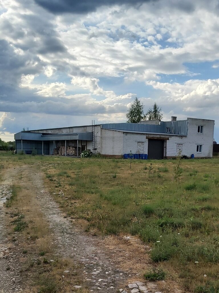 Mantar yetiştirme ve satış Керма, İvanovskaya oblastı, foto