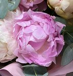 Golden Keys Flowers (Minskaya Street No:1Гк4), çiçekçiler  Moskova'dan