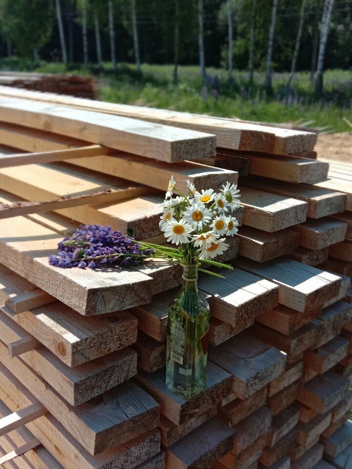 Ahşap endüstrisi Sawmill, Smolenskaya oblastı, foto