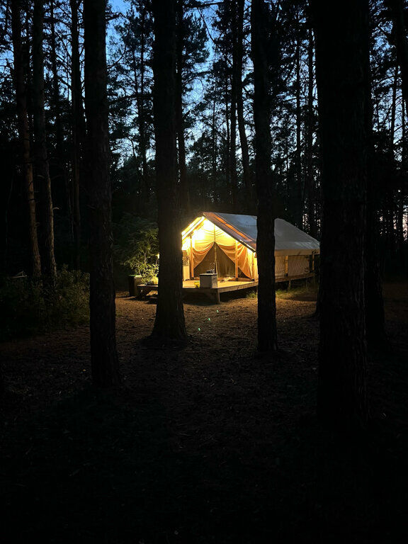 Resort oteller, tesisler Scout Glamp, Akmola eyaleti, foto