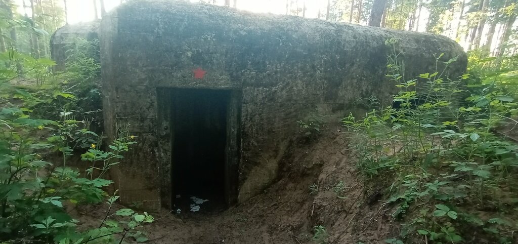 Turistik yerler Дот, Kingisepp, foto