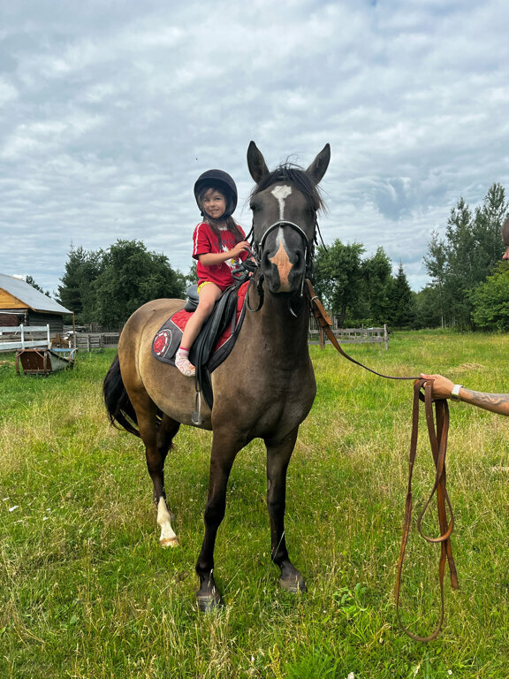 At ve binicilik kulüpleri Усадьба Славяночка, Smolenskaya oblastı, foto