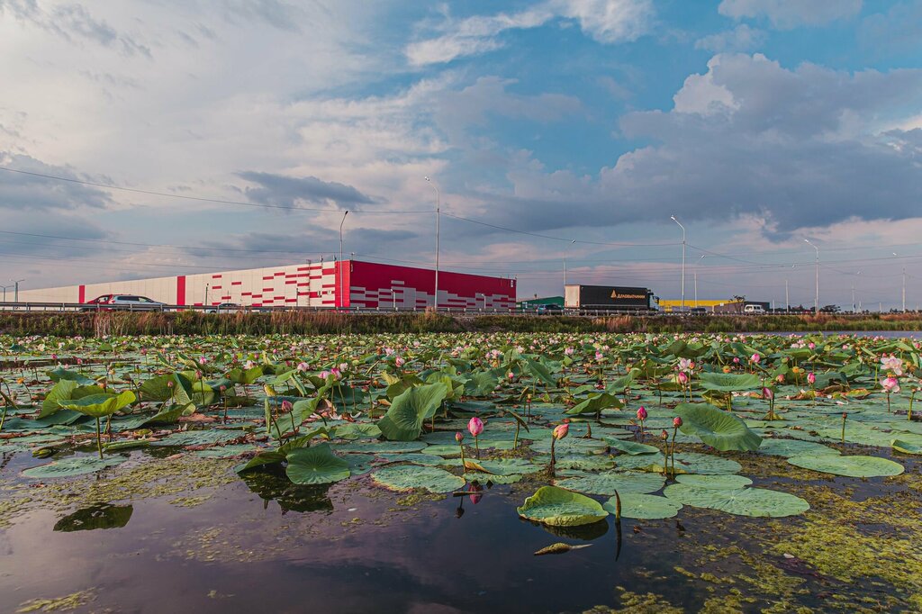 Depo hizmetleri DNS Девелопмент, Vladivostok, foto