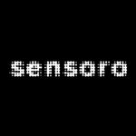 Sensoro (ulitsa Martovitskogo No:46), bilişim firmaları  Rostov‑na‑Donu'dan