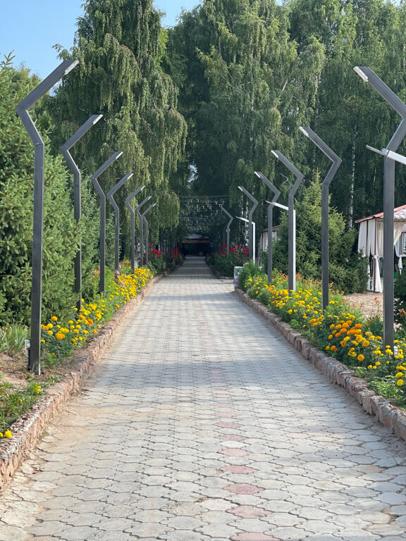 Sağlık merkezleri Центр отдыха Солемар, Issık Göl İli, foto