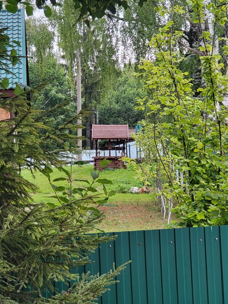 Kuyu Well, Saint‑Petersburg ve Leningradskaya oblastı, foto