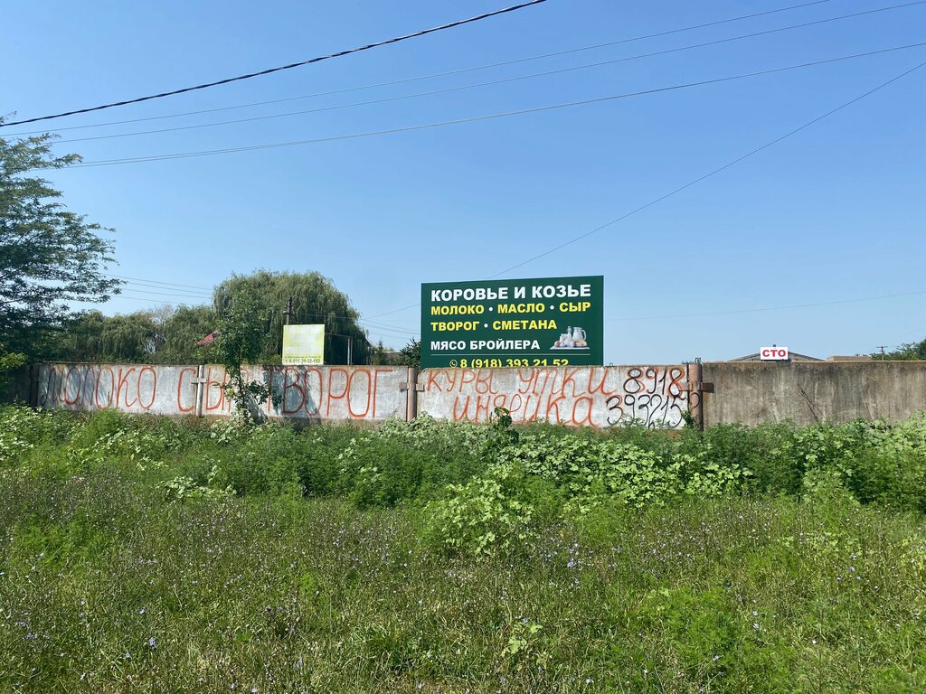 Toptan süt ürünleri ИП Башан Л. М., Krasnodarski krayı, foto