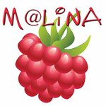 Servisny tsentr kompyuternoy tekhniki Malina (ulitsa Gagarina No:41), bilgisayar teknik servisleri  Velsk'ten