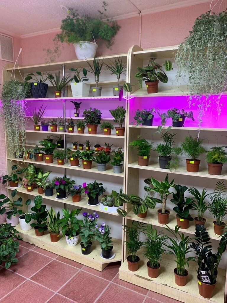 Market Домашний, Simferopol (Akmescit), foto