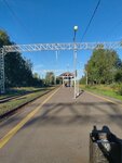 Borisova Griva Station (Leningrad Region, Vsevolozhckiy DIstrict, Rakhyinskoye gorodskoye poseleniye), tren istasyonu  Saint‑Petersburg ve Leningradskaya oblastından