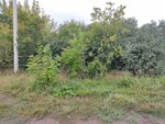 Эксперт плюс (ulitsa Telmana No:102, rabochiy posyolok Novovarshavka), araç muayene istasyonları  Omskaya oblastından