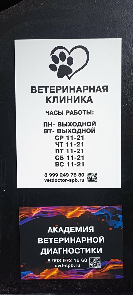 Uzmanlık eğitimi Academy of veterinary diagnostics, Saint‑Petersburg, foto