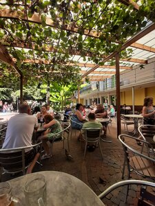 Pingvin (Pobedy Street No:31, Lazarevskoe Residential District), kafe  Soçi'den