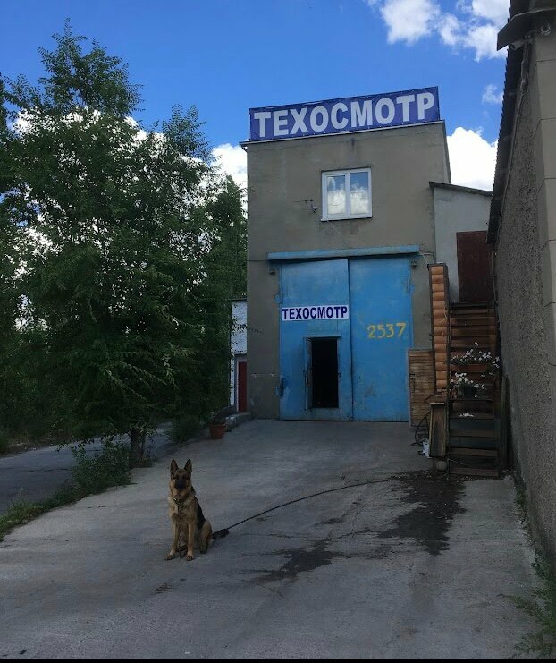 Araç muayene istasyonları Техосмотр, Novovoronej, foto