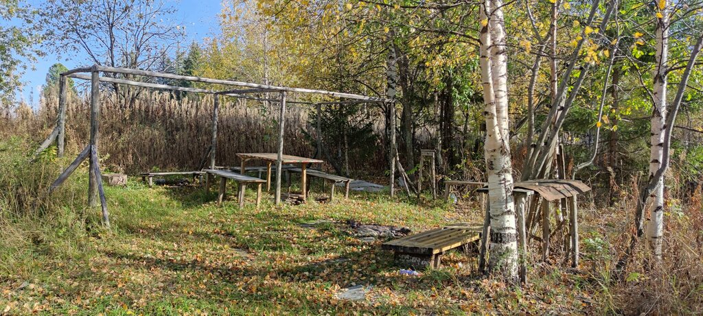 Dağ zirvesi Гора Пономарева грива, Permski krayı, foto
