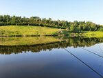 Пруд Каменский (Saratov Region, Tatishchevskiy rayon, Idolgskoye munitsipalnoye obrazovaniye), balık çiftçiliği ve toptancıları  Saratovskaya oblastından