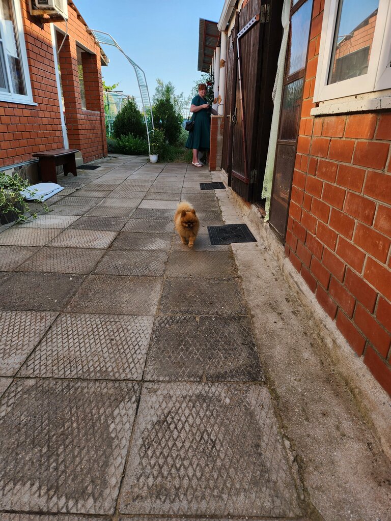 Konuk evi Регион 27, Krasnodarski krayı, foto