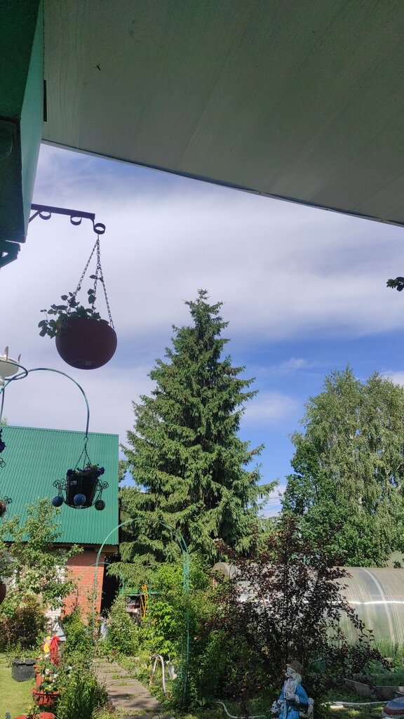 Bahçecilik dernekleri ve kuruluşları СНТ Марьин лог, Berdsk, foto