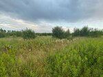 Мотодром (Kaliningrad Region, Svetlogorskiy gorodskoy okrug), motosiklet pisti  Kaliningradskaya oblastından