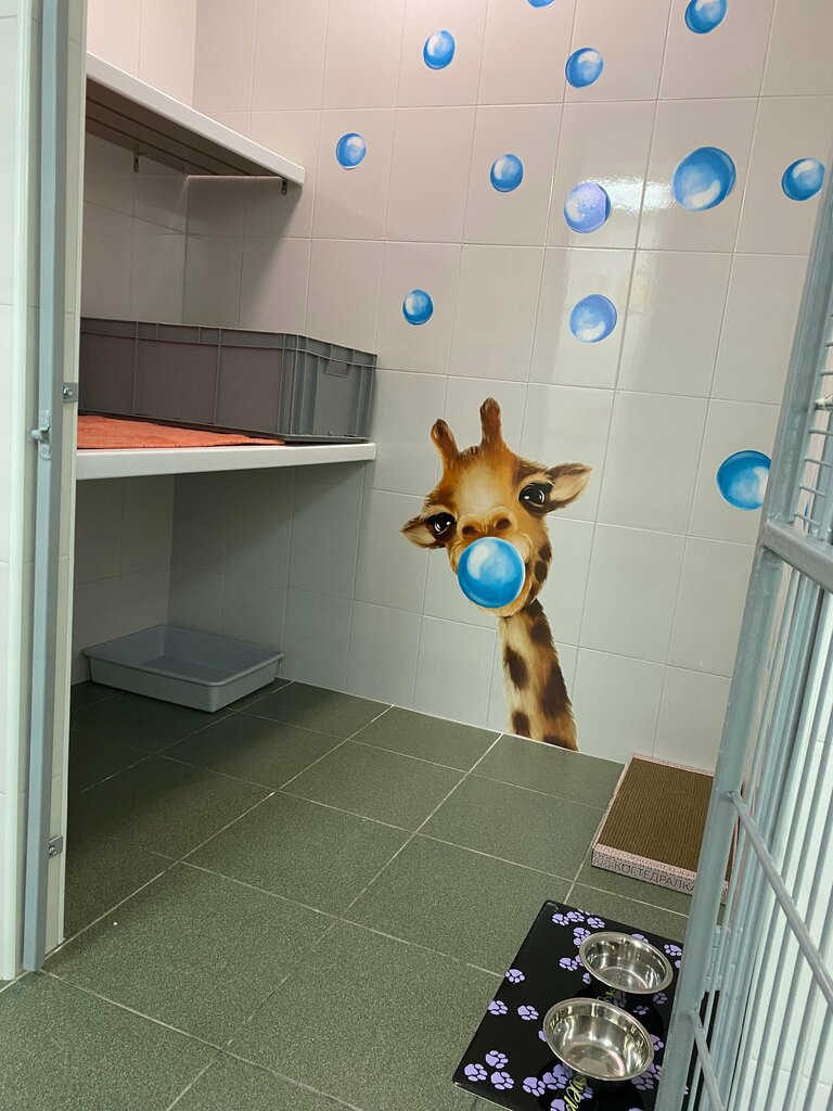 Pet otel Gostinitsa dlya koshek Kotofey, Yaroslavl, foto