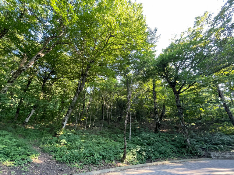 Dekorasyon ve süsleme, onur panosu 1800 м. Герой нашего времени, Zheleznovodsk, foto