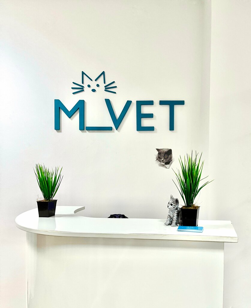 Veteriner klinikleri M Vet, Cheboksary, foto