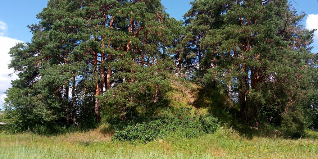 Turistik yerler Сопка-курган, Novgorodskaya oblastı, foto